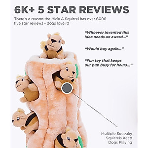 Outward Hound Hide A Squirrel Plush Dog Toy Puzzle, XL