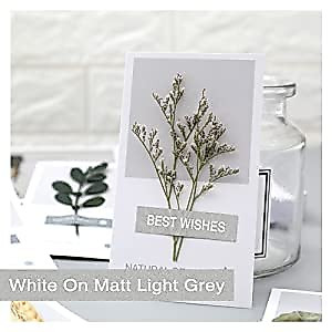 Replacement for Brother P-Touch Label Maker Tape TZe 12mm 0.47 Laminated Tape Compatible with Brother P Touch Label Maker PT-D210 D220 H110 PT-D400AD P710BT TZe-231 Pastel Tape Cassette 6 Pack