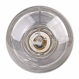 LUCKY HERP Reptile UVA UVB Mercury Vapor Bulb Lamp,Screw Thread,160 Watt (Clear)