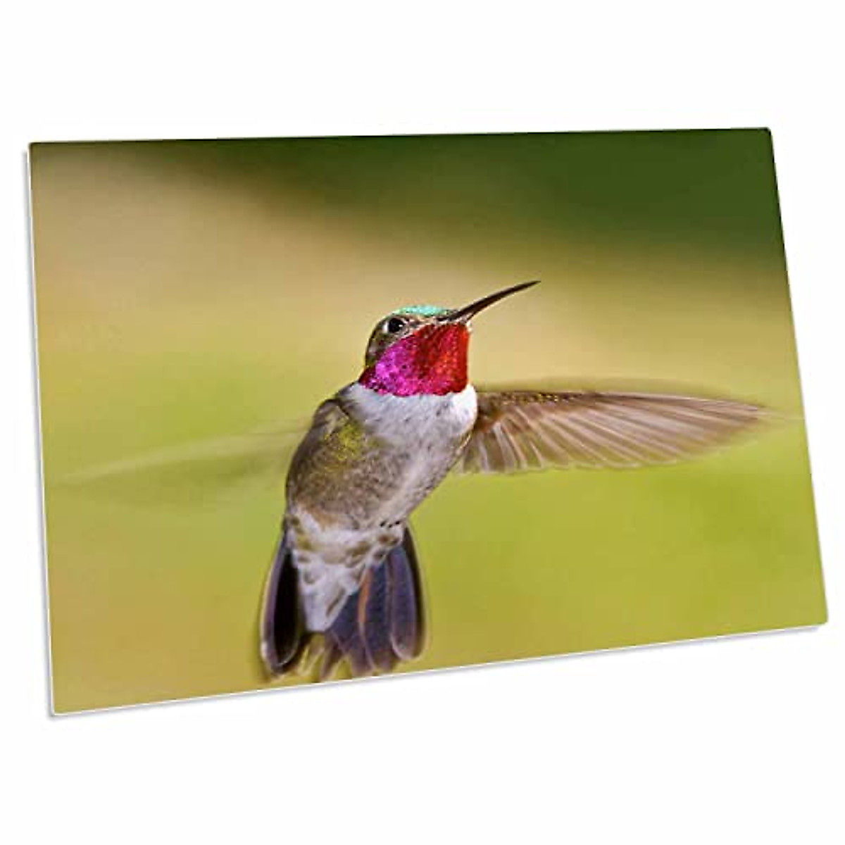 3dRose Colorado, Frisco, Hummingbird in Flight - US06 BJA0084 -. - Desk Pad Place Mats (dpd-88843-1)