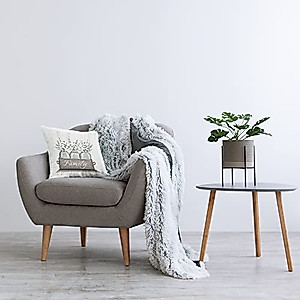 Stupell Industries Green Eucalyptus Foliage Jars with Family Sentiments Design by Elizabeth Tyndall Pillow, 18 x 18, Off- White