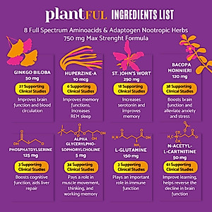 Nootropic Brain Supplement For Focus, Energy, Memory & Clarity Booster | Fast Absorption Brain Vitamins For Adults – Nootropics Pills With Ginkgo Biloba, St Johns Wort, Bacopa Monnieri