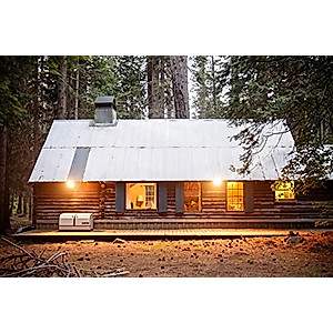 Champion Power Equipment 100177 8.5-kW Home Standby Generator with 50-Amp Outdoor-Rated Automatic Transfer Switch