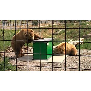 TuffBoxx Grizzly Animal Resistant Storage Solution (Green/Charcoal Color), Keeps Bears and Animals Out of Garbage and Trash, Holds 6 Trash Bags