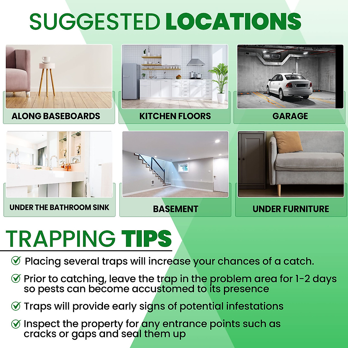 T3-R Sticky Traps for Bugs Extra Large (12 Pack) - Mouse and Insect Glue Boards - Disposable Non-Toxic Glue Traps for Mice and Rats - Extra Strength Sticky Glue Traps for Rodent