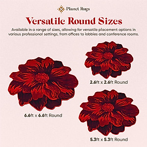 Flower Rug 2ft Round Area Rugs Cute Plush Flower Shaped Rug Circle Girly for Bedroom Floor Living Room Carpet 305 Red