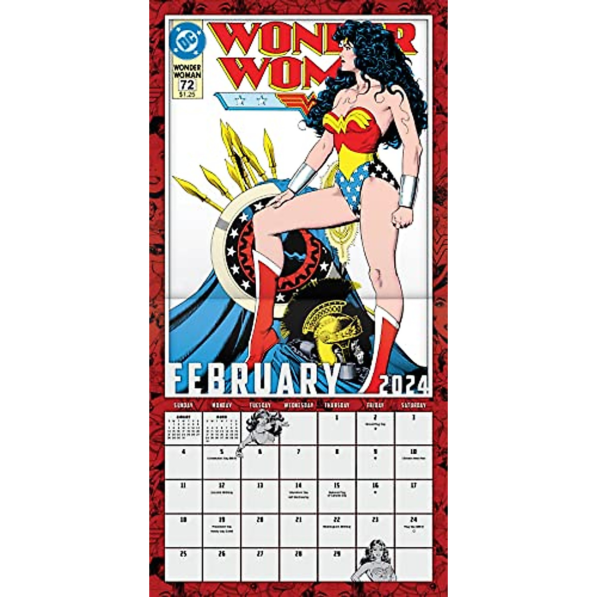 2024 DC Comics Wonder Woman Wall Calendar & Push Pins