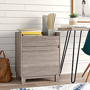 Linon Tracey Filing Cabinet, 22"W x 17.2"D x 27"H, Gray