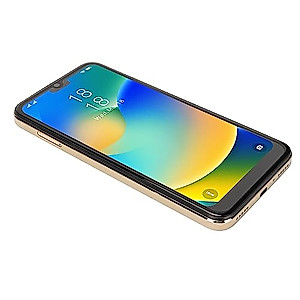LANTRO JS Android 11.0 Smartphone, 6.1in Display, 4GB RAM, 32GB ROM, MTK6889 Processor, 8MP Front Camera, 16MP Rear Camera, 1440x3200 Resolution, Gold Color, EU Plug, Compatible with I14proMax