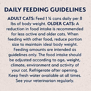 Natural Balance Limited Ingredient Adult Grain-Free Wet Canned Cat Food, Duck & Green Pea Recipe, 5.5 Ounce (Pack of 24)