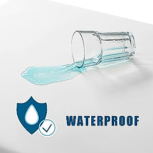 Bargoose Home Textiles | Zippered Mattress or Box Spring Cover | Lab Tested & Certified | Waterproof (Twin, 9" Deep)