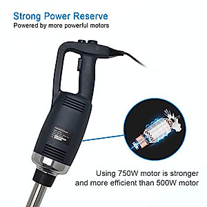 Zz Pro Commercial Electric Big Stix Immersion Blender Hand Held Variable Speed 750 Watt Mixer with 20-Inch Removable Shaft, 50-Gallon Capacity(LW750S20)