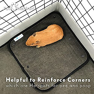 Paw Inspired Washable Guinea Pig Cage Liners | Fleece Bedding for Guinea Pigs Ferrets, Rabbits, Hamsters, Small Animals | Bamboo Charcoal Odor Controlling Absorbent Pee Pads (12" x 12", 2 ct.)
