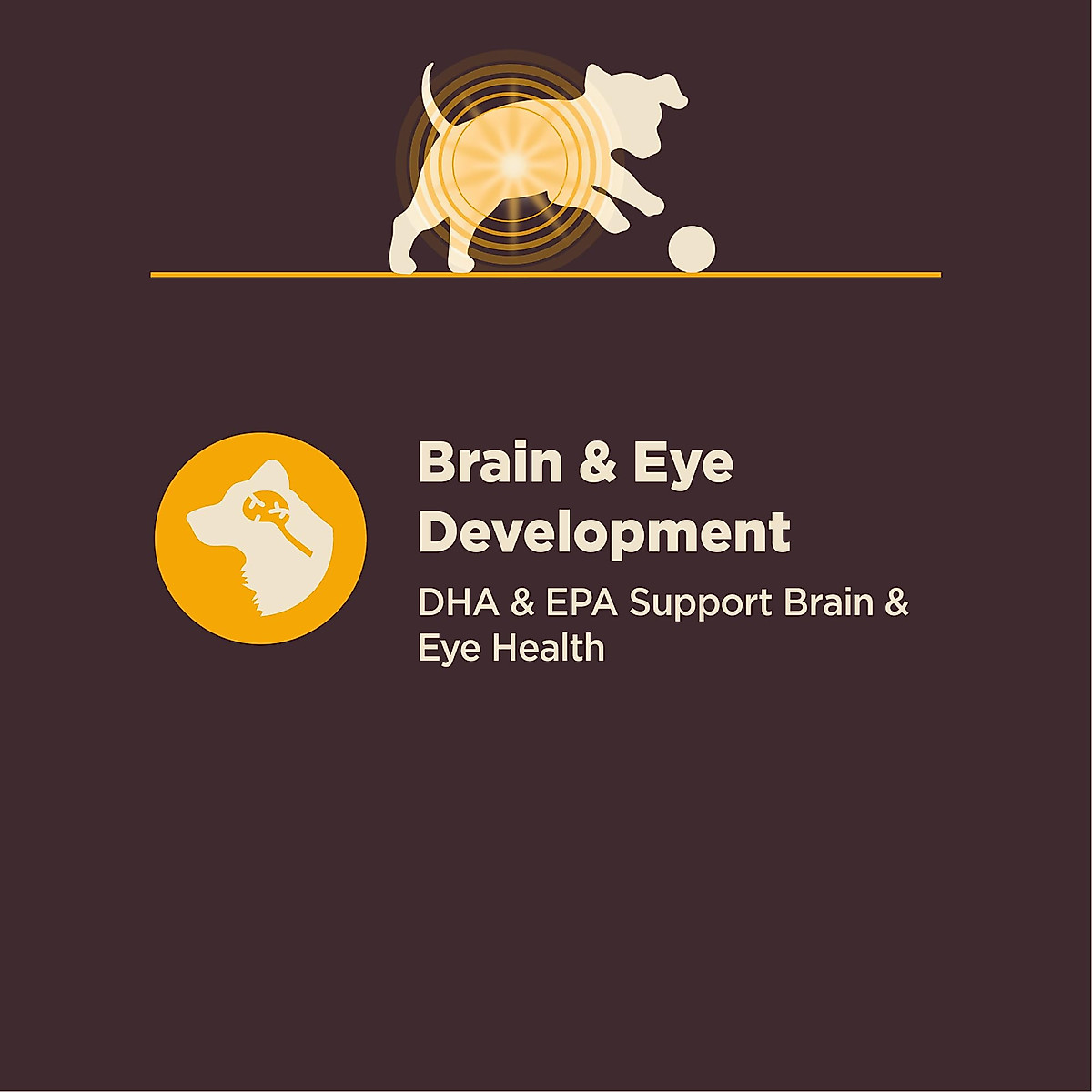 Wellness CORE Digestive Health Dry Puppy Food with Wholesome Grains, Highly Digestible, for Dogs with Sensitive Stomachs, Made in USA with Real Chicken (Puppy Under 1 Year, 4-Pound Bag)