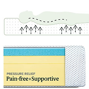 ZINUS 6 Inch Green Tea Cooling Gel Memory Foam Mattress / Cooling Gel Foam / Pressure Relieving / CertiPUR-US Certified / Bed-in-a-Box, Full