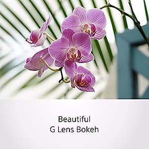 Sony SELP18105G E PZ 18-105mm F4 G OSS , Black