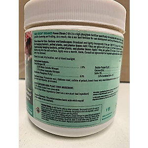 GG Power Bloom, 500 Gram