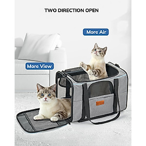Morpilot Cat and Dog Carrier with Detachable Wheels - Airline Approved Rolling Carrier for Small Pets and Cats - Foldable Pet Travel Bag