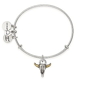 Alex and Ani Symbols and Tokens Expandable Bangle for Women, Spirited Skull Charm, Rafaelian Silver Finish, 2 to 3.5 in
