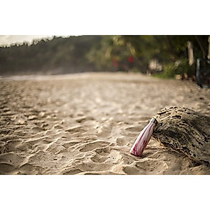 Simple Modern Replacement Lid for Wave Water Bottles, Simple Stainless, Fits 25oz & 34oz