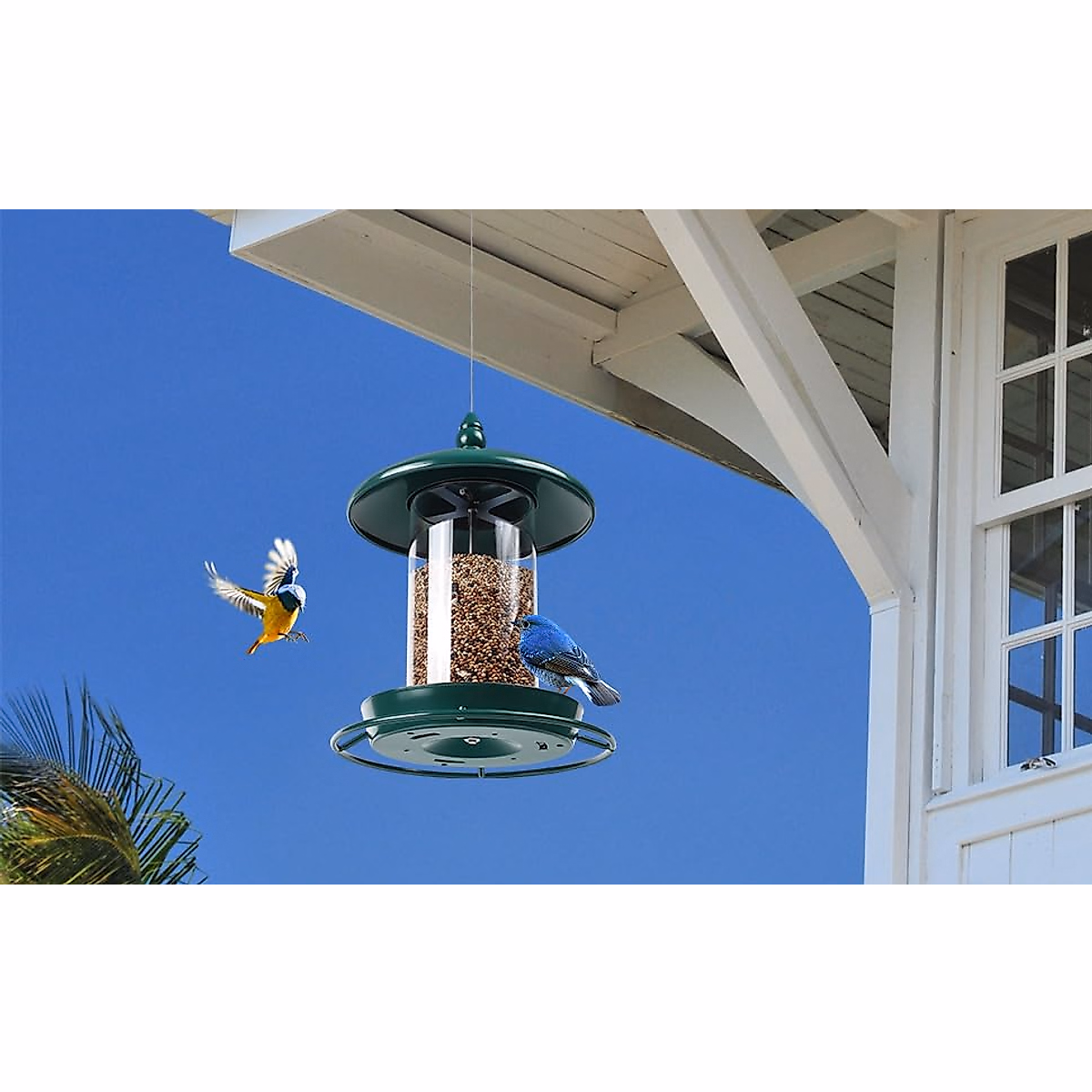 Bird Feeder for Outdoors, Small Bird Feeder, Holds 1.50LB Seeds, Suitable for Small Seed Grains, Metal Bird Feeder for Outdoors Hanging