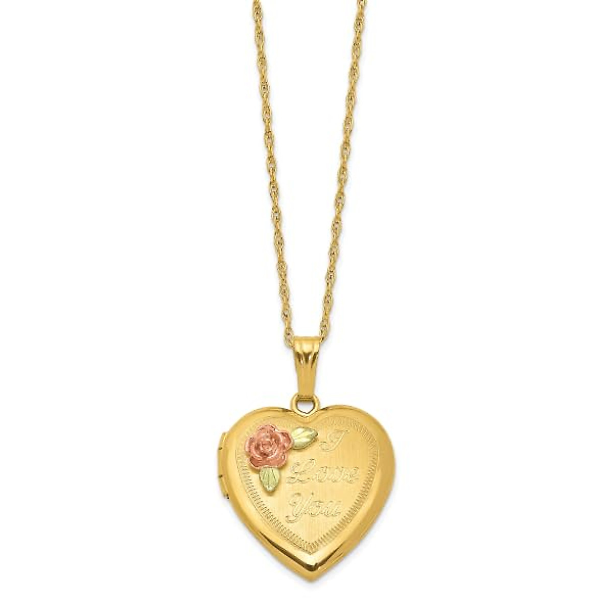 IceCarats 10K Yellow Gold Chain Necklace Black Hills Personalized Photo Locket