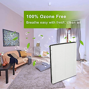 Flintar MD1-0022 True HEPA Replacement Filter, Compatible with Vornado Air Cleaner Purifier Model AC300, AC350, AC500, AC550, PCO200, PCO300, PCO375DC, PCO500 and PCO575DC (1-Pack)