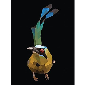 Paint by Sticker: Birds: Create 12 Stunning Images One Sticker at a Time!