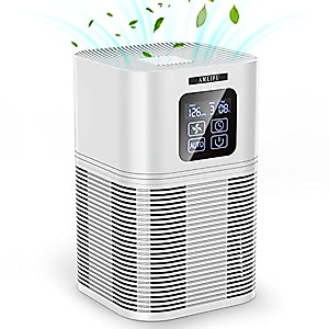 Air Purifiers for Bedroom Home Large Room 610 sq.ft, Updated AMEIFU H13 Hepa Air Purifier Cleaner with Aromatherapy for Pets Hair, Allergies, Smoke, Dust and Bad Smell (California Available)