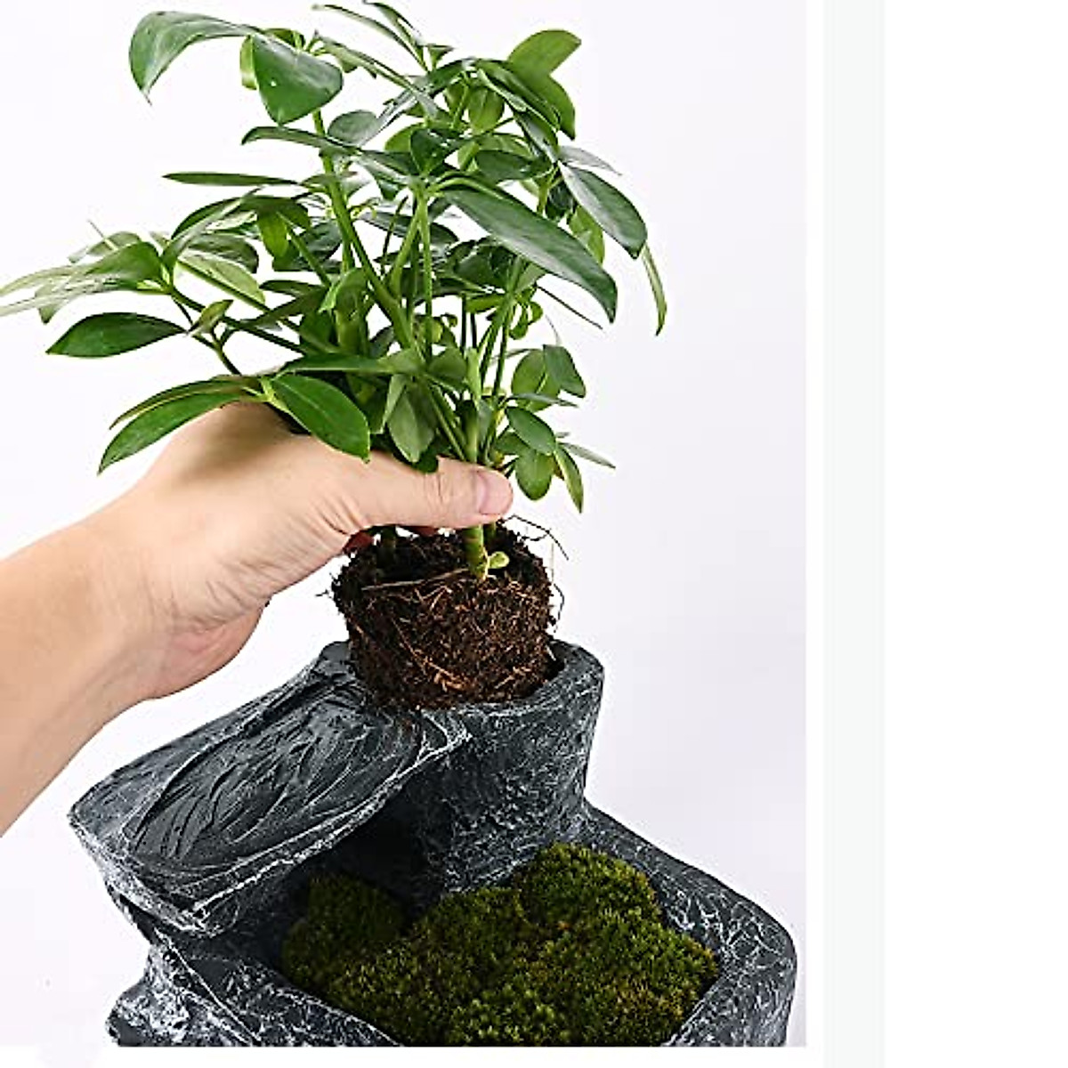 Flushbay Turtle Basking Platform Tortoise Resting Rock Climbing Rock Resin Aquarium Landscape Rock Decoration Reptile Habitat Ornament for Turtle, Newt, Frog, Lizard, Bearded Dragons