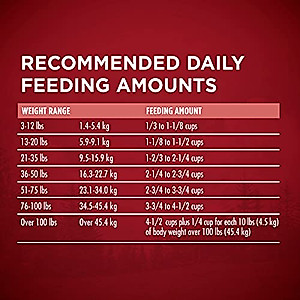 Purina ONE True Instinct High Protein Formula with Real Beef and Salmon Dry Dog Food - 15 lb. Bag