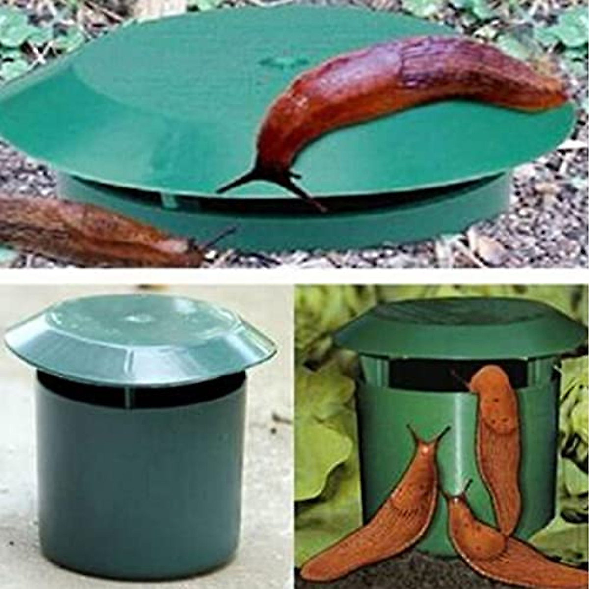 Bddalpke 2 Pieces Garden Slug and Snail Trap Catch Slugs Snails Friendly Environmentally Spider Catcher Reusable Garden Farm Protector
