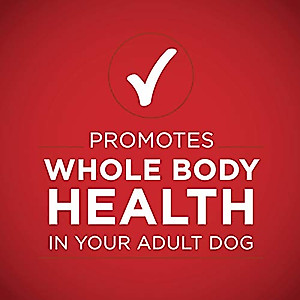 Purina ONE Tender Cuts in Gravy Chicken and Brown Rice, and Beef and Barley Entrees Wet Dog Food Variety Pack - (2 Packs of 6) 13 oz. Cans