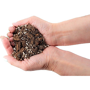 Gardenera Organic Banana Tree Soil Blend - 1 Quart - Nutrient-Dense Mix for Robust Growth and Sweet, Juicy Bananas - Crafted with Care for Exceptional Results