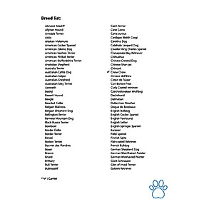 AffinityDNA PetGen - Dog Breed, Health, Behaviour & Trait Identification Test Kit | at-Home Sample Collection Cheek Swab Kit | Full Genetic Test for Dogs| Results in 4 Weeks | No Extra Fees