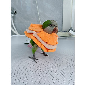 Adjustable Parrot Cone Collar, Safe and Practical Cotton Collar to Prevent Bites and Licking Wounds, to Help heal (S)
