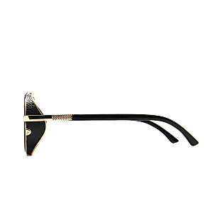 Dollger Steampunk Vintage Retro Round Sunglasses Metal Circle Frame (Black Lens+Gold Frame,100% UV Protection Lens)