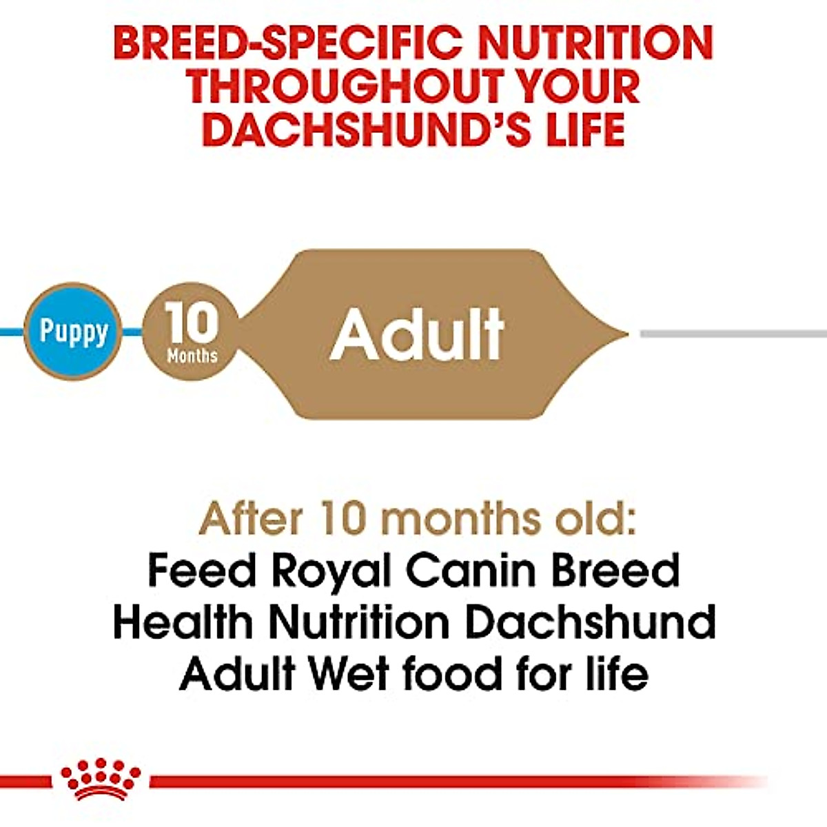 Royal Canin Breed Health Nutrition Dachshund Loaf in Gravy Pouch Dog Food, 3 oz Pouch (Pack of 12), 723085