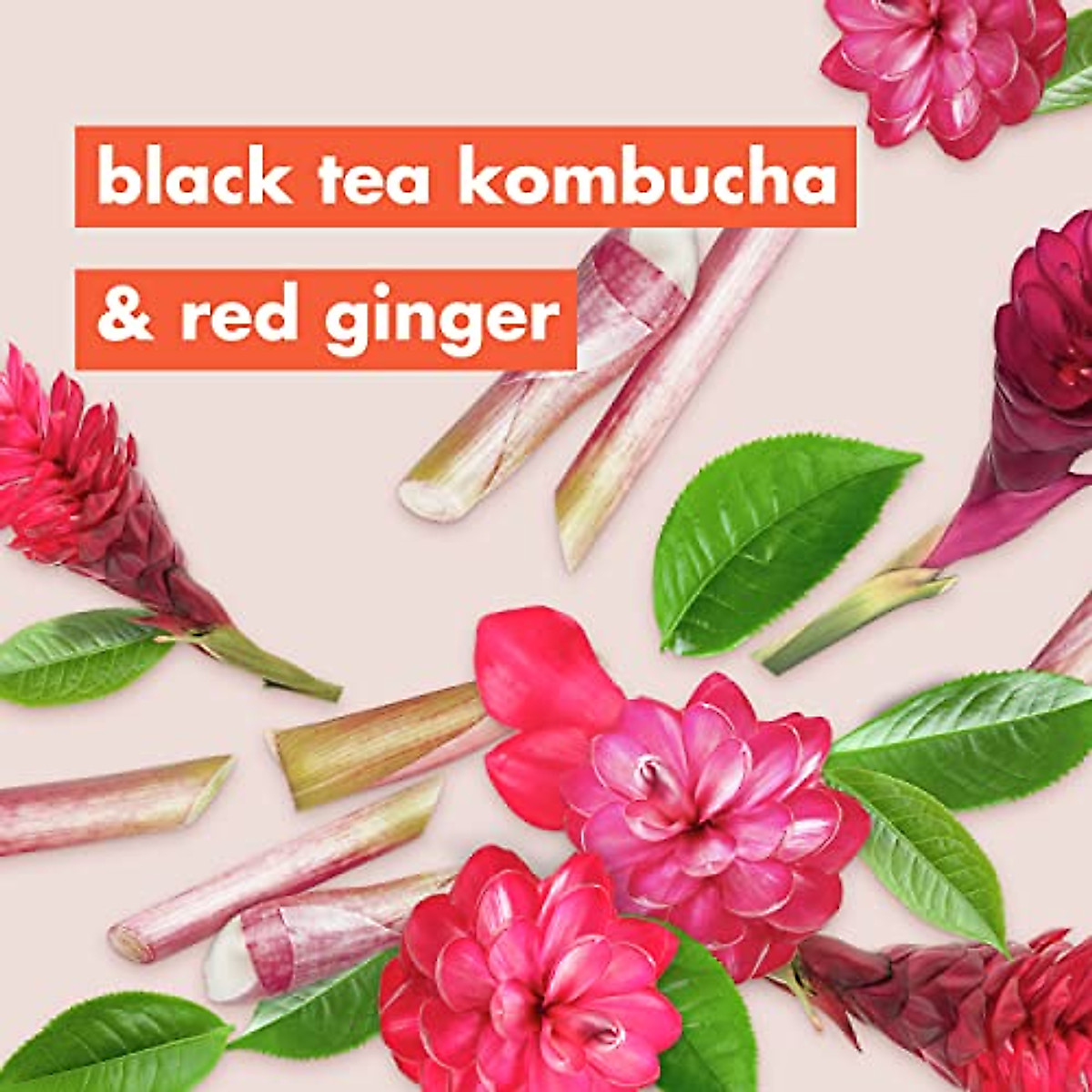 Love Beauty And Planet Silicone Free Conditioner Detox and Nourishment Black Tea Kombucha & Red Ginger Hair Care for Soft & Shiny Hair, Floral, 32 Fl Oz