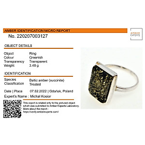 HolidayGiftShops Sterling Silver and Baltic Green Rectangle Amber Adult Ring- Size 9