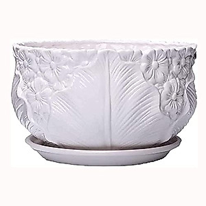 Miikoo1 White Flower Pot Outdoor Ceramic Bonsai Planter Indoor Desktop Balcony Simple Personality Plant Pot with Drainage Hole and Tray, Home Balcony Green Plants Bonsai