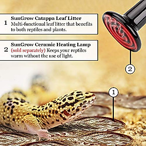 SunGrow Saver Bundle Pack - Catappa Leaves 30Pcs/Pack + Large Leaf Hammock