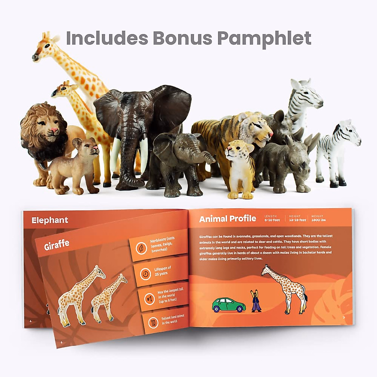 Boley Jungle Safari Animal Set - 12-Piece Detailed Wildlife Figures for Educational Play - Durable Kids Toys Including Elephants, Giraffe, Lion, Tiger, Zebra - Ideal for Party Favors & Classroom