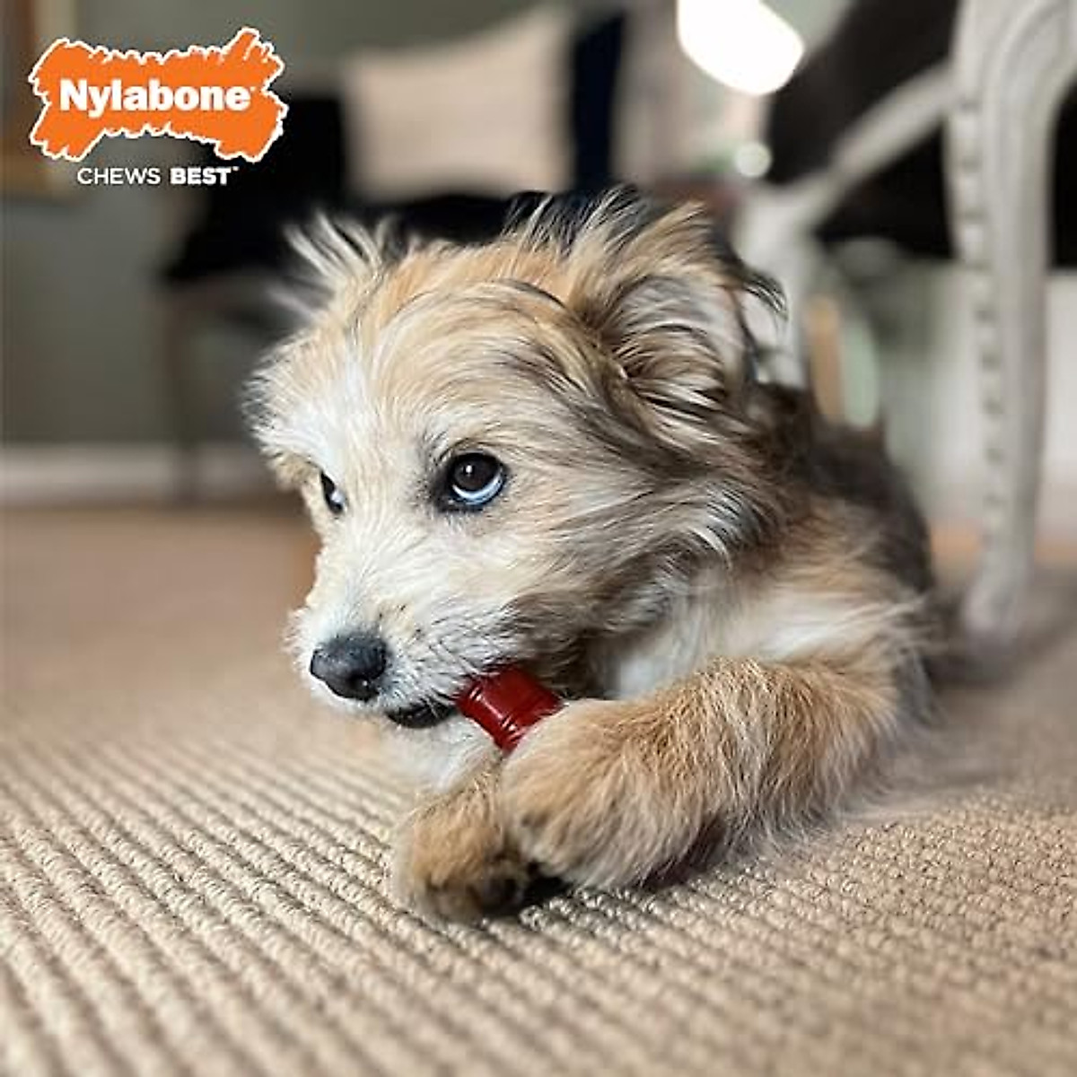 Nylabone Basted Blast Original & Textured Bone Power Chew Toy for Dogs, Dog Toys for Aggressive Chewers, Bacon and Steak Flavor, X-Small - Up to 15 lbs, 2 Pack