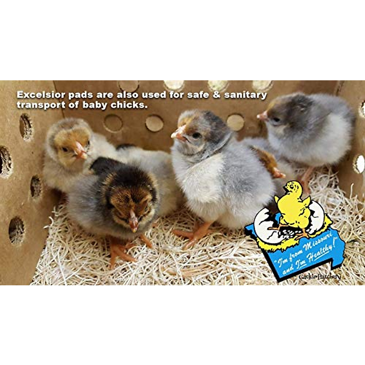 Cackle Hatchery Laying Hen Nest Box Pads - 13" x 13" (6 Pack)