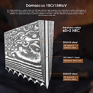 Bread Knife, 10inch Multifunction Serrated Knife, VG10 Damascus Steel Bread Cutting Knife for Homemade Bread, Razor Sharp Edge for Efficient Slicing Sourdough Bread, Bagels, Cake