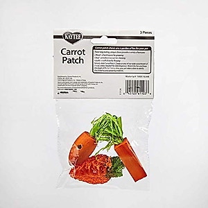 Kaytee 3 Count Chew Toy, Carrot Patch Variety 2 PACK