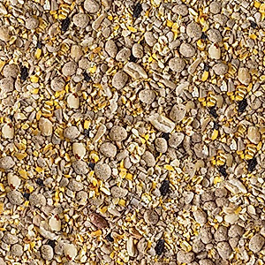 Kaytee Seed & Suet No Mess Blend Blueberry Flavor 10 Pounds