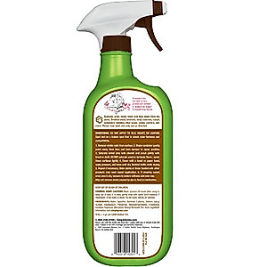 Bio Active Stain & Odor Remover for Pet & Carpet- Pet & People Safe - 32oz Spray