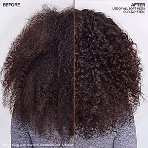 REDKEN All Soft Mega Curls Shampoo | Sulfate Free| For Curly & Coily Hair | Nourishes & Softens Severely Extremely Dry Hair | With Aloe Vera